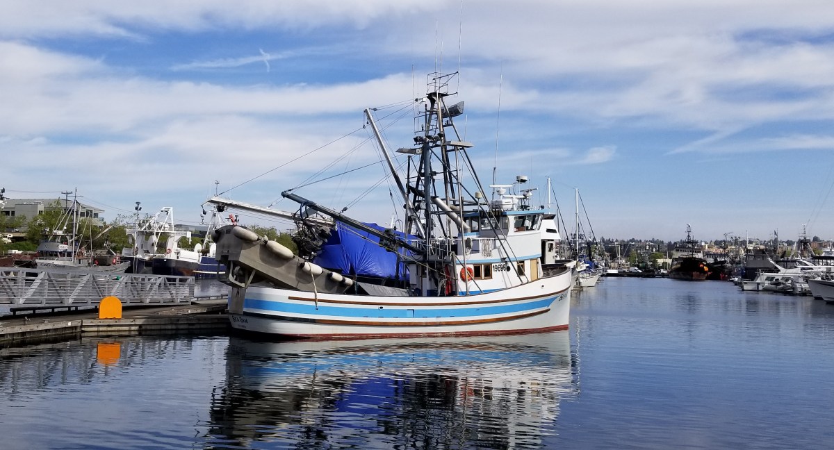 Projects – Assurance Pathways